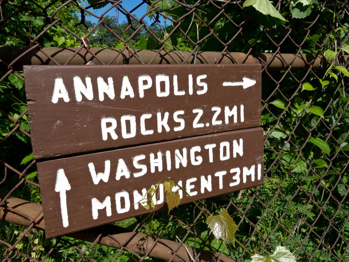 Appalachian Trail Across Maryland Series #6 of 9: I-40 to Pogo ...