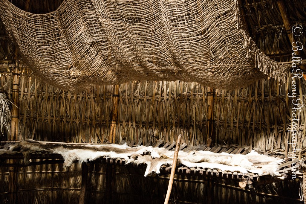 Project 365/214 – Timucua Indians – Emily Carter ~ Nature as Art